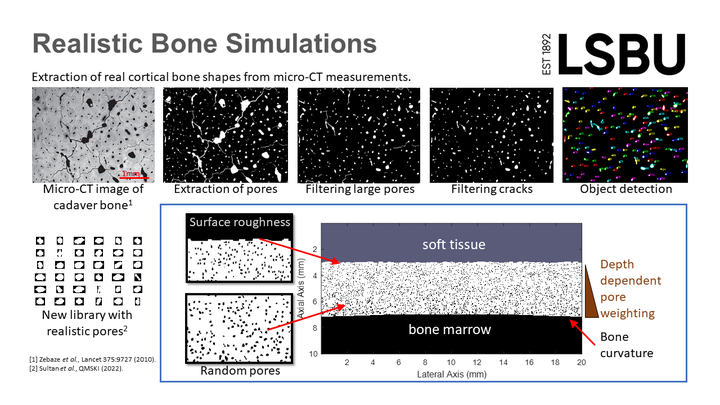Realistic Bone Simulations for Ultrasonic Characterization of Cortical ...